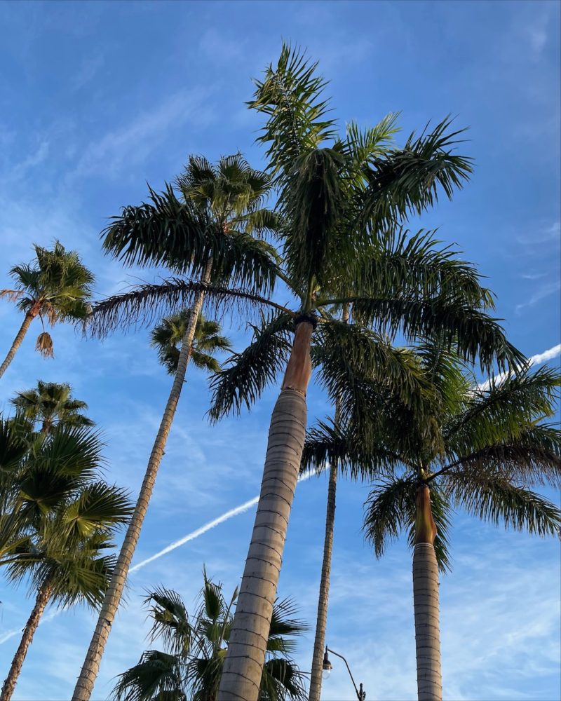 Casey Key, Florida Travel Guide | Styled by McKenz